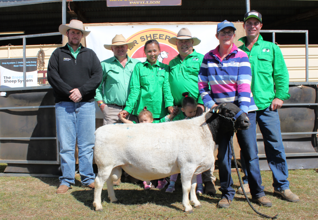 Dorper Sheep Society Australia – 2023 BreedELITE DSSA National Sale ...