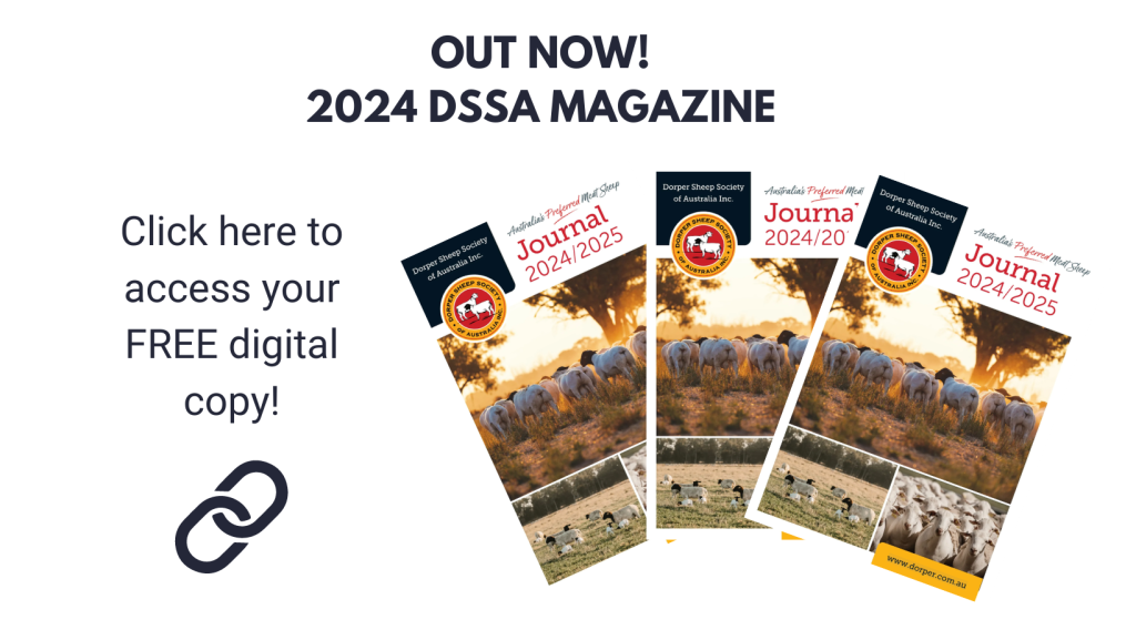 Dorper Sheep Society Australia – 2024/2025 DSSA Magazine Out Now!